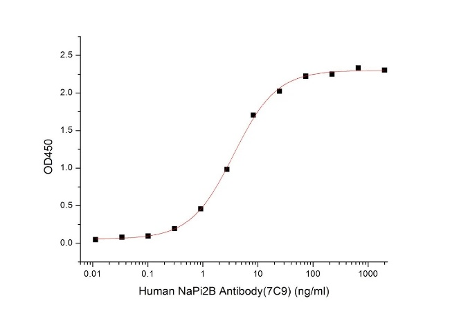 膜蛋白.卵巢癌治療新靶點.NaPi2b.NaPi-IIa（SLC34A1）、NaPi- IIb（SLC34A2）.NaPi-IIc（SLC34A3）.ECL. - 最新消息 - 勁碩生物科技 ...